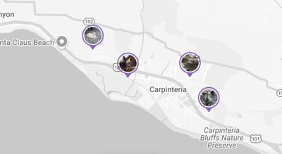 County releases new lost & found pet map | News | coastalview.com