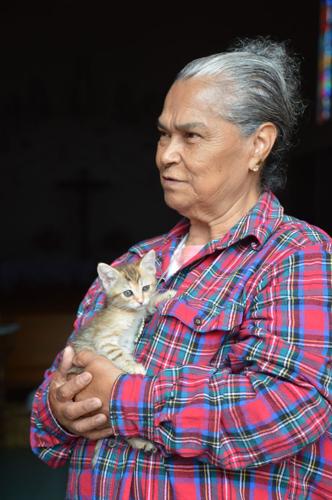 Blessing of the Animals: Oct. 5 | Arts & Entertainment | coastalview.com