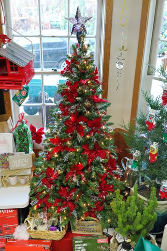 Carpinteria Valley Lumber holds Festival of Tree | News | coastalview.com