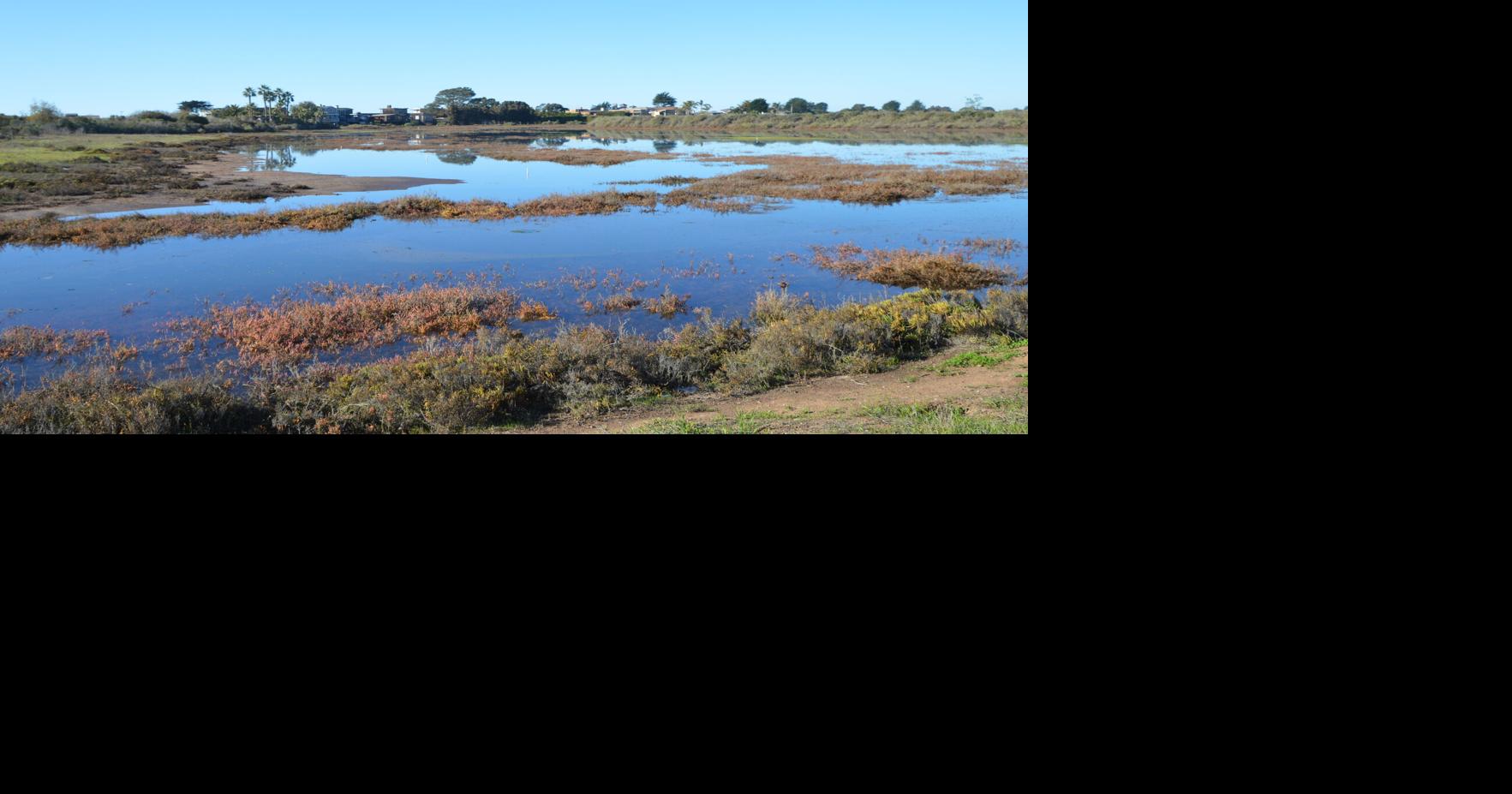 Why do you live here? | Opinion | coastalview.com