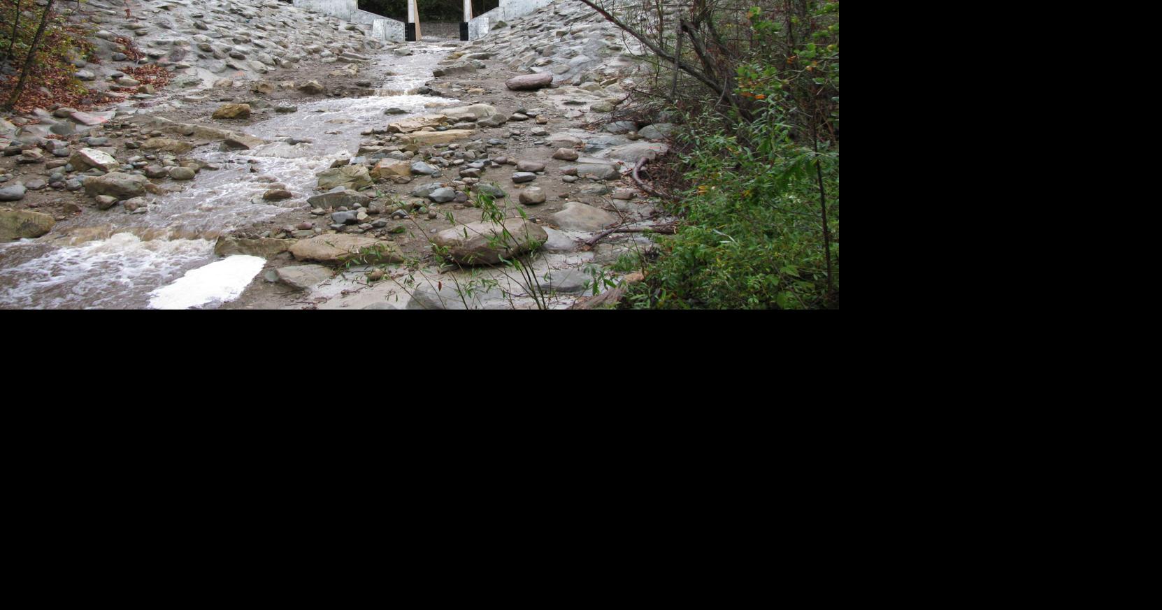 The 1/9 debris flow was not so rare | News | coastalview.com