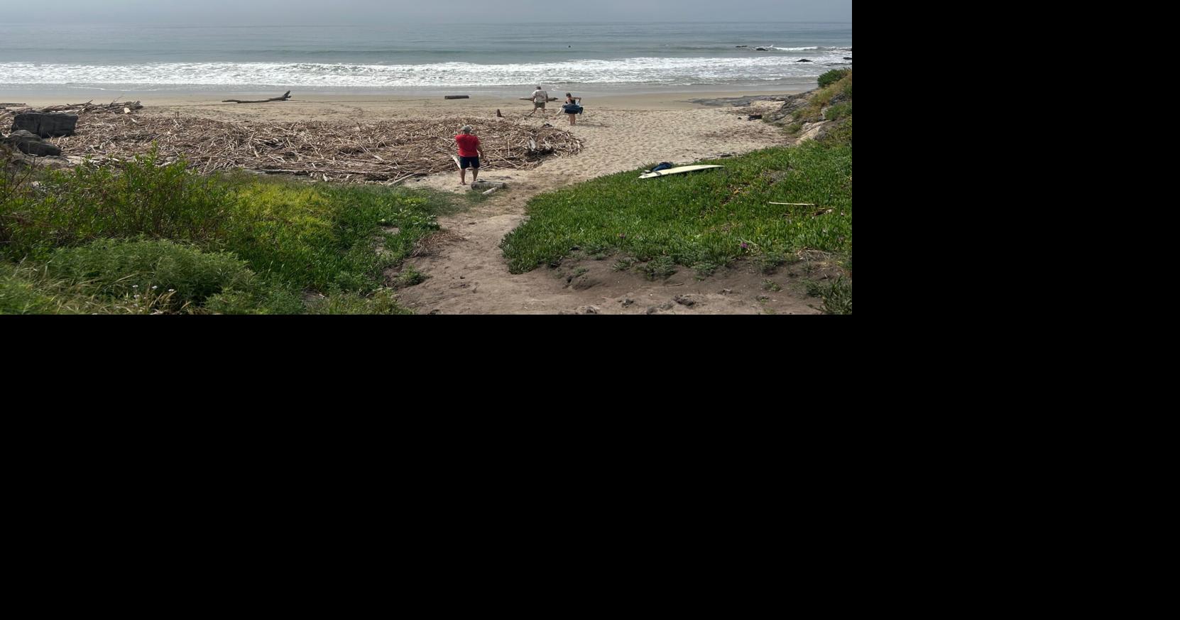 Neighbors rally to clear invasive Arundo from Jelly Bowl Beach | News ...