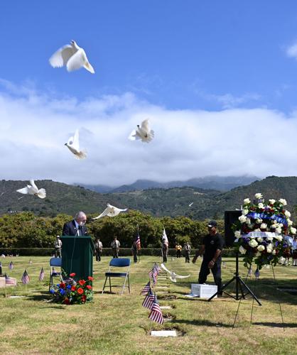 Lions release doves for Memorial Day | News | coastalview.com