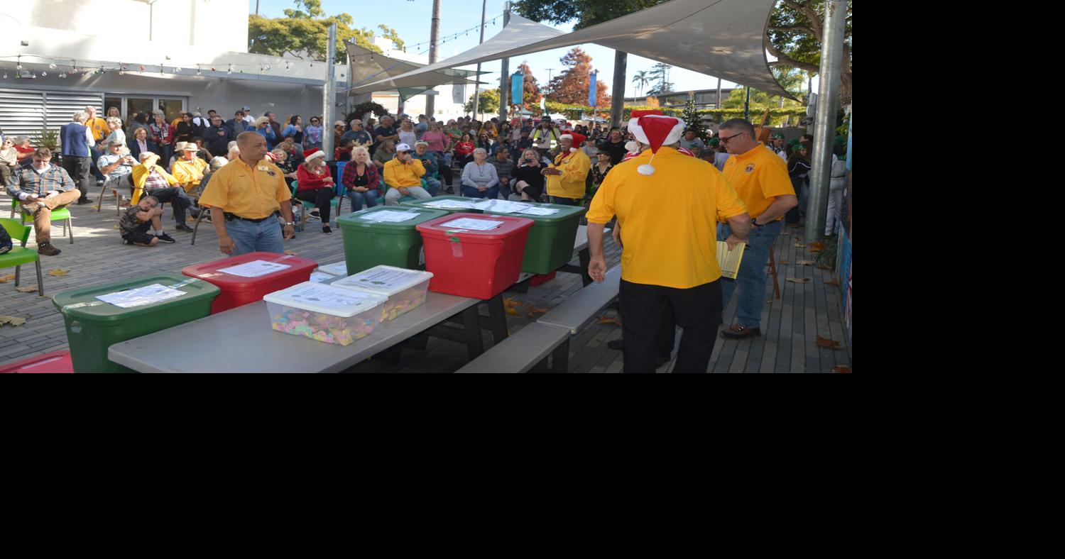 Festival of Trees brings in $41,000 for local groups | News ...