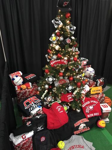 Lions Club Festival of Trees begins day after Thanksgiving | News ...