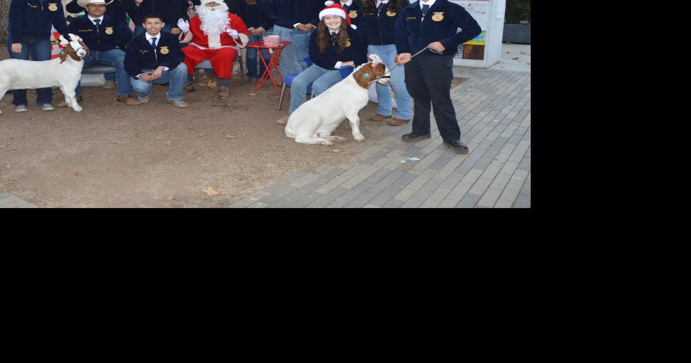 Meet Santa and his goats | Sports | coastalview.com