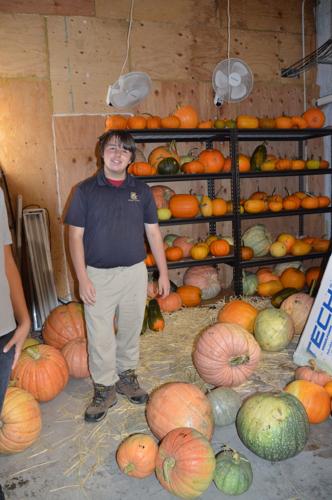 Howard students move, sort pumpkins for upcoming pumpkin patch | News ...