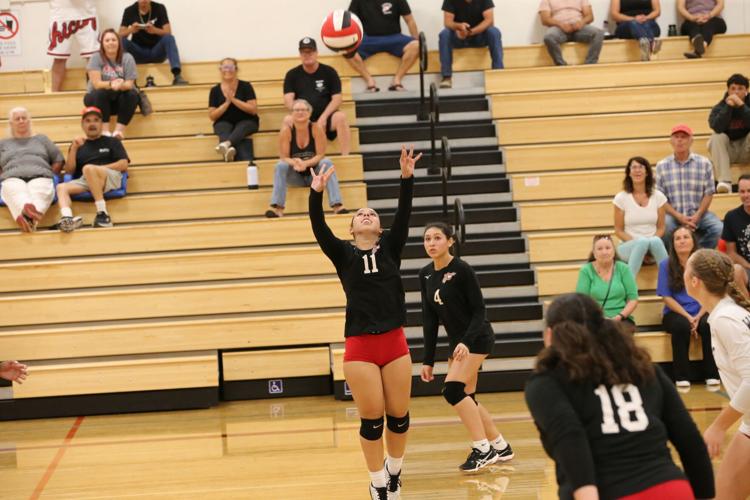 Carpinteria girls volleyball in mid-season form | Sports | coastalview.com