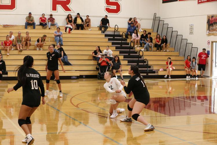 Warriors volleyball opens with busy week | Sports | coastalview.com