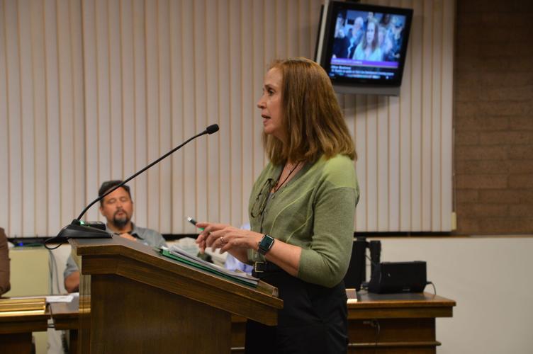 Council favors looser entertainment license regulations during Monday ...