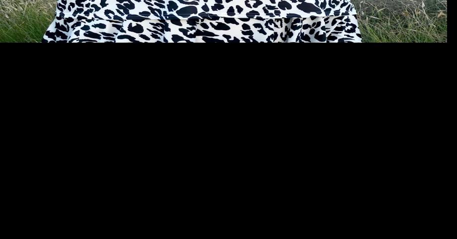 Starshine Roshell to speak at AWC-SB’s April meeting | News ...