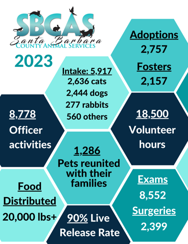 Animal Services reported 2,757 adoptions in 2023 | News | coastalview.com