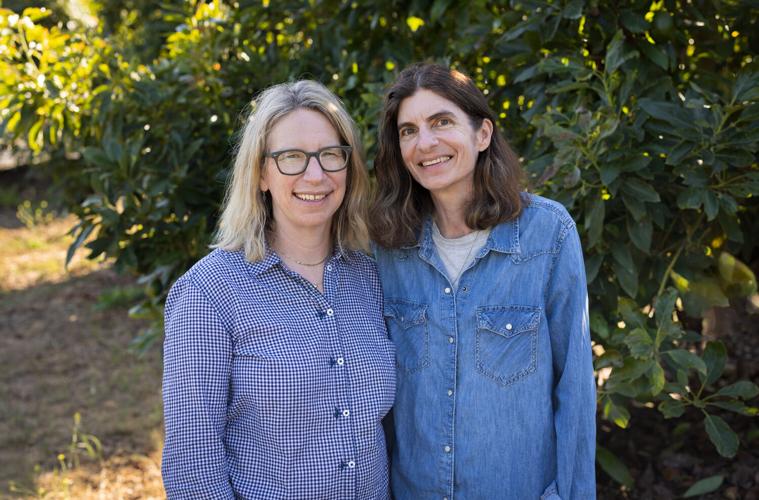 A character-driven look at the history of the avocado | News ...