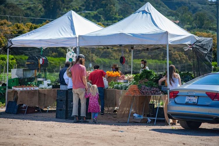Frecker Farms grows from dirt and grit | Business | coastalview.com