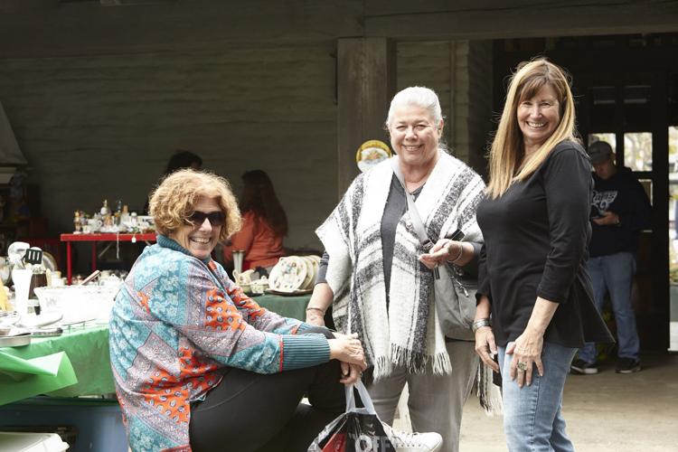 Market showcases unique plants and vintage items | News | coastalview.com