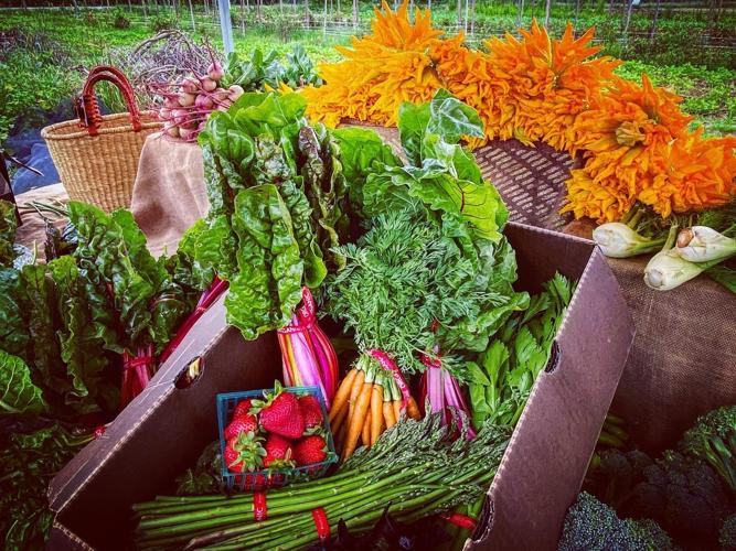 Frecker Farms grows from dirt and grit | Business | coastalview.com