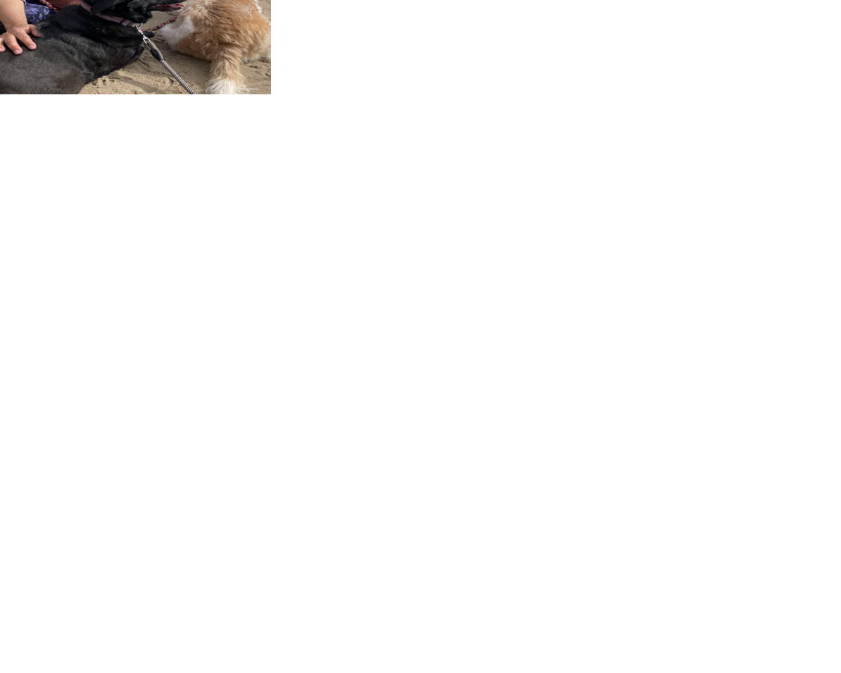 School district mourns former CMS educator | News | coastalview.com