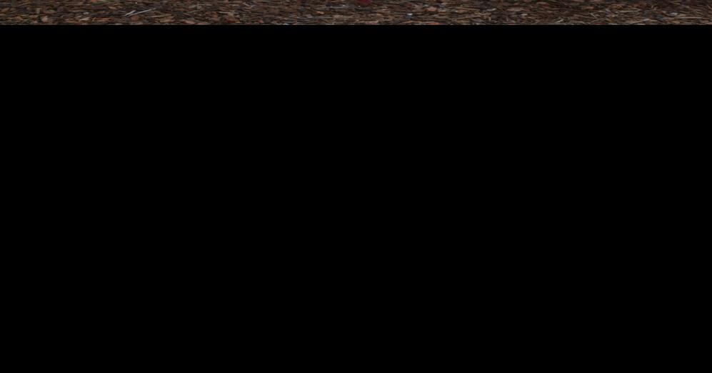 Community celebrates unveiling of Aliso Elementary mural | News ...