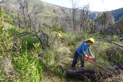 Trail restoration project to link Santa Barbara and Ventura counties ...