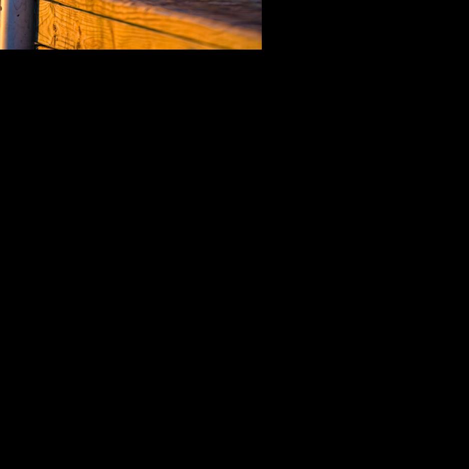 Shutterbugs | coastmonthly.com