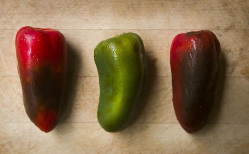 The fruits and spices of labor | Features | coastmonthly.com