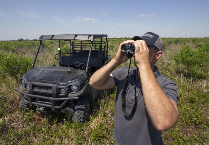 Protecting a prairie | Features | coastmonthly.com