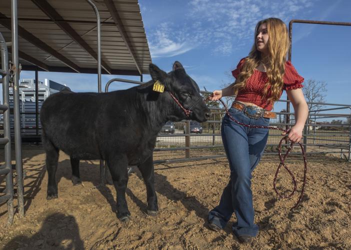 It's showtime | Features | coastmonthly.com