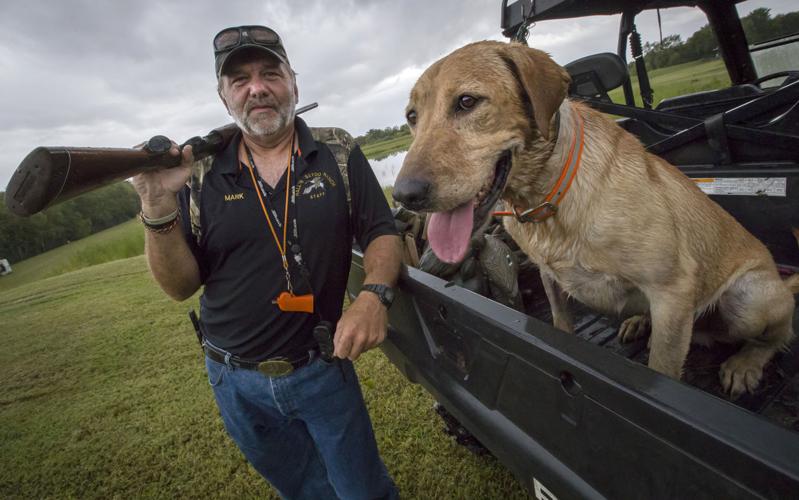 These dogs will hunt | Features | coastmonthly.com