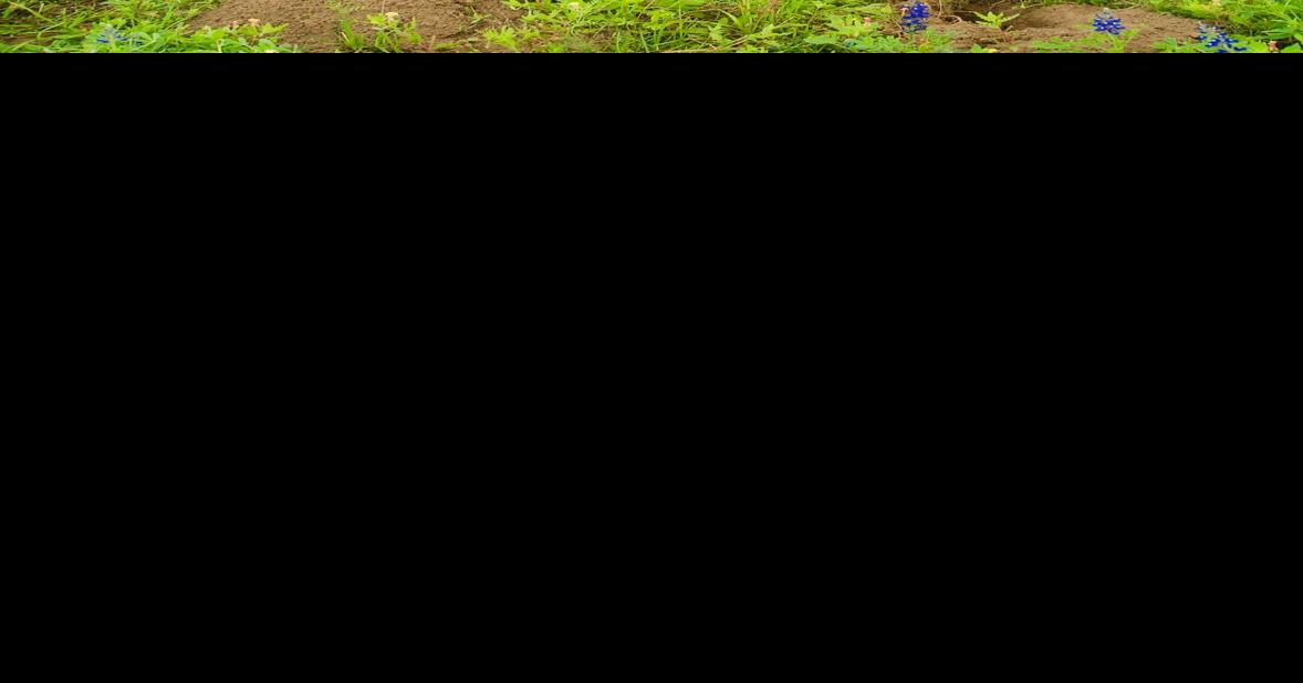 Chasing the thunder | Features | coastmonthly.com