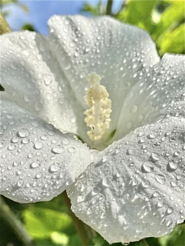 February Shutterbugs | Shutterbugs | coastmonthly.com