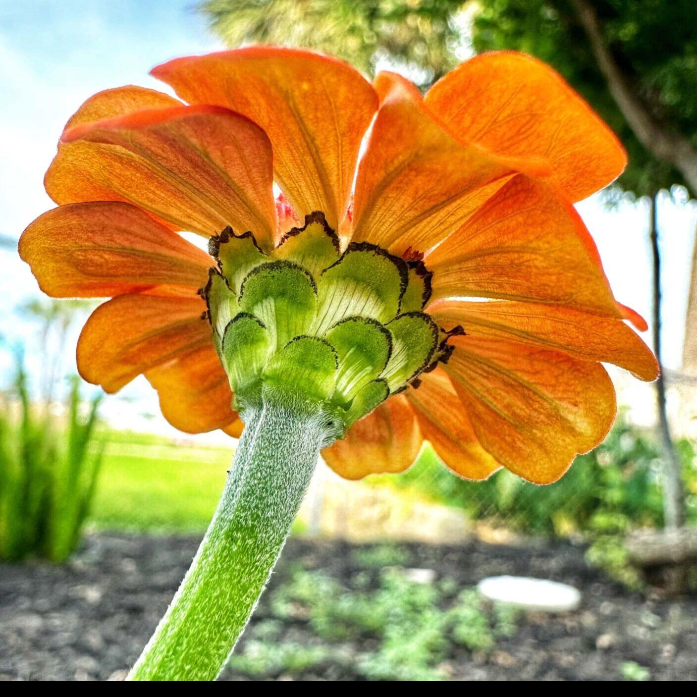 Shutterbugs | coastmonthly.com