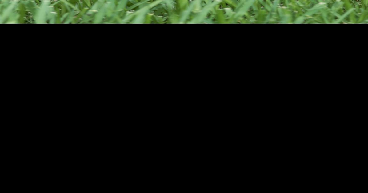 Katherine Stathakos | Hang Ten | coastmonthly.com