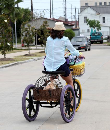 Well-wheeled islanders | Features | coastmonthly.com
