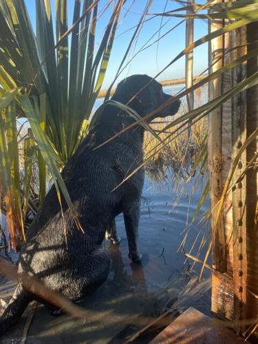 November Shutterbugs | Shutterbugs | coastmonthly.com