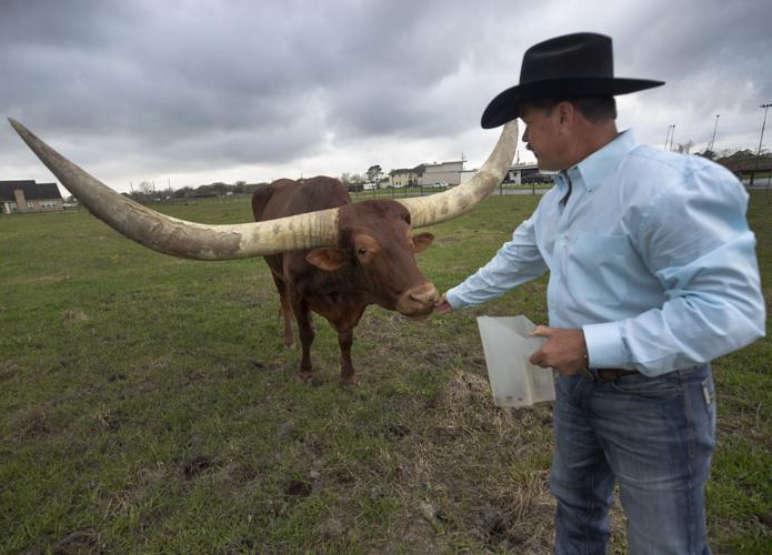 'Saltwater Cowboy' | Features | coastmonthly.com