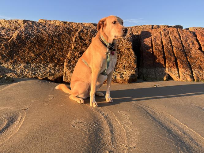 February Shutterbugs | Shutterbugs | coastmonthly.com