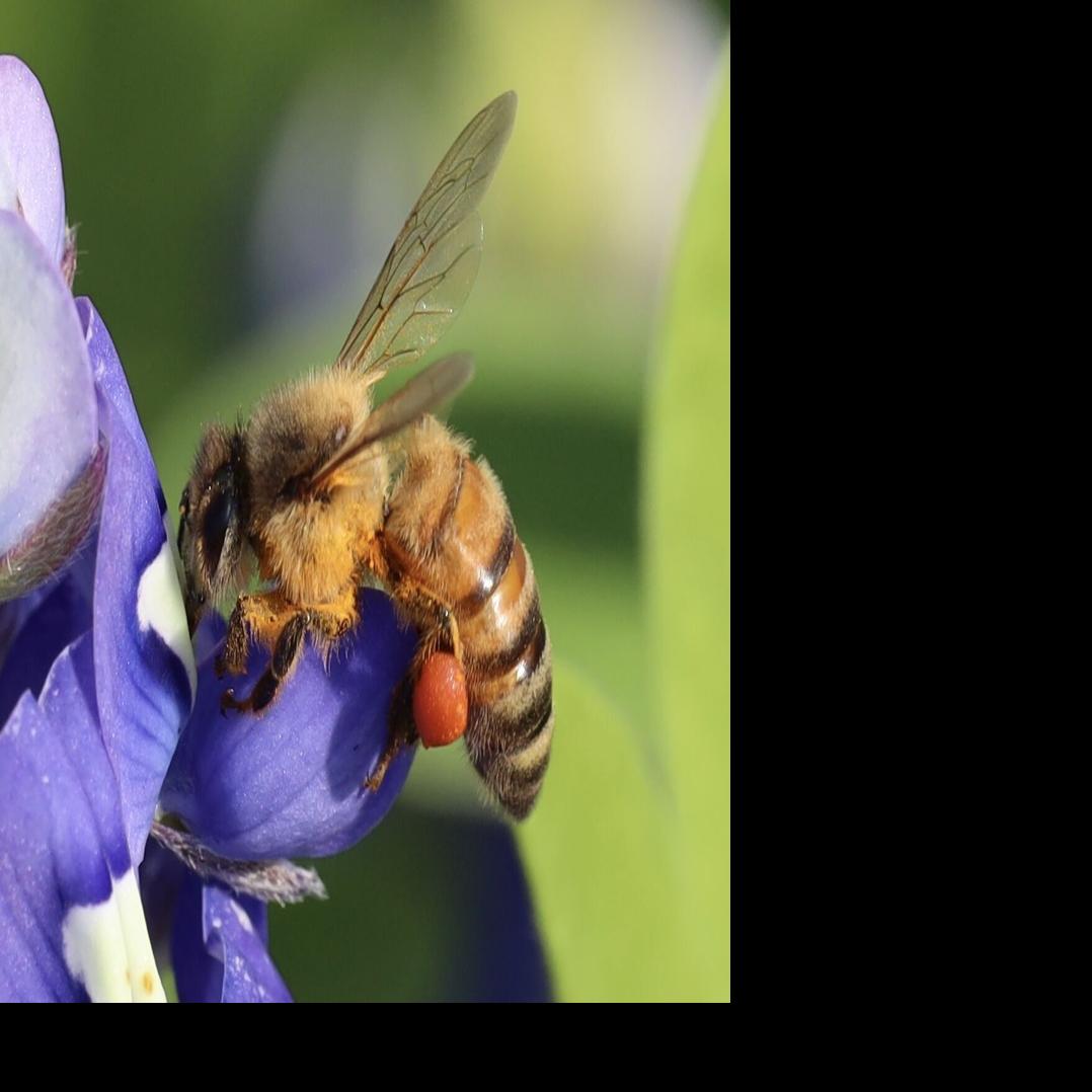 Shutterbugs | coastmonthly.com