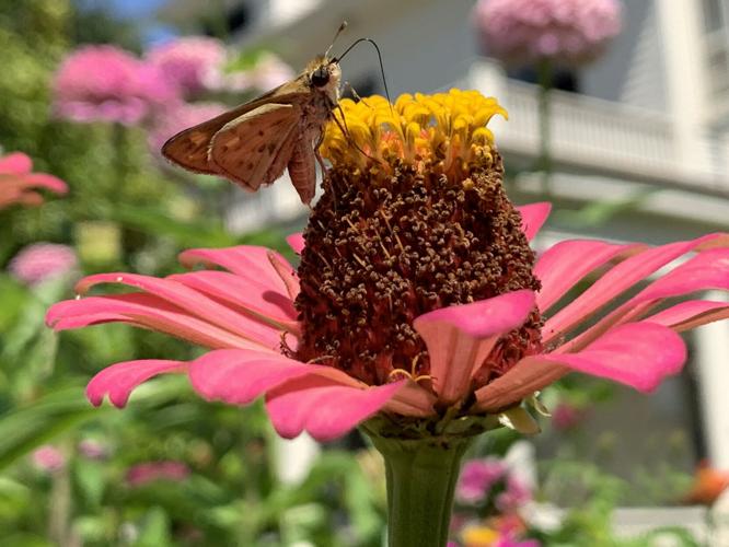 September Shutterbugs | Shutterbugs | coastmonthly.com