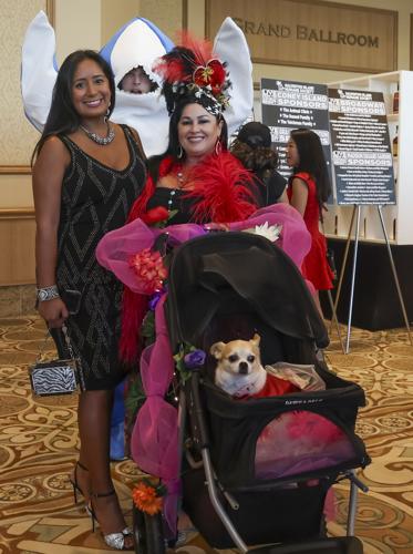 PAWS Gala | Party Pics | coastmonthly.com