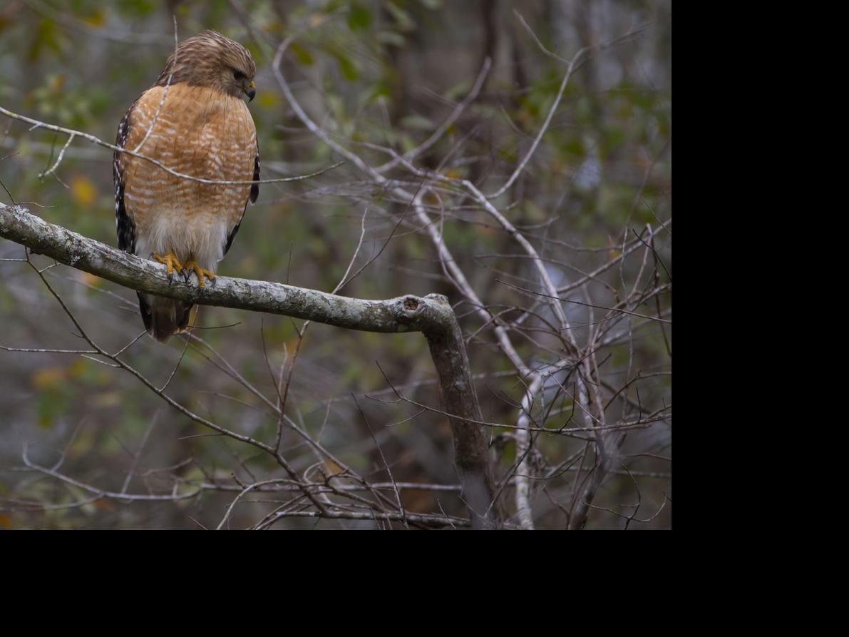 Features | coastmonthly.com