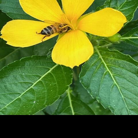 Shutterbugs | coastmonthly.com