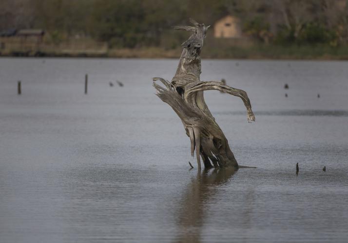 ‘A living museum’ | Features | coastmonthly.com