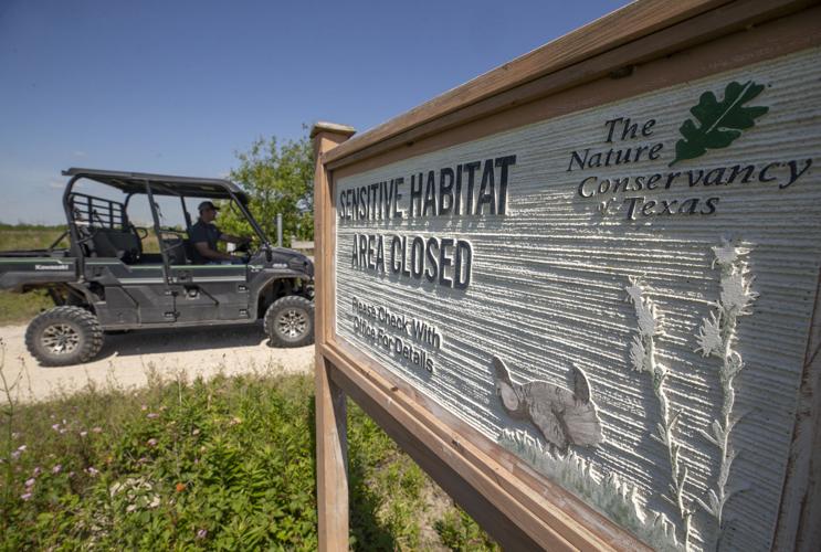 Protecting a prairie | Features | coastmonthly.com