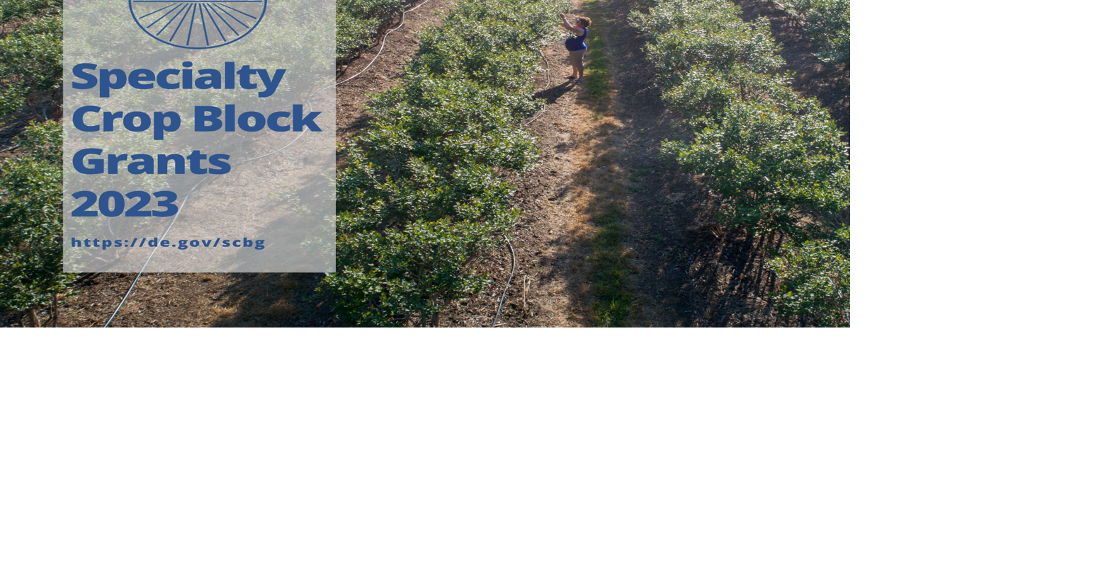 Dept of Agriculture Accepting Proposals for 2023 Specialty Crop Block ...