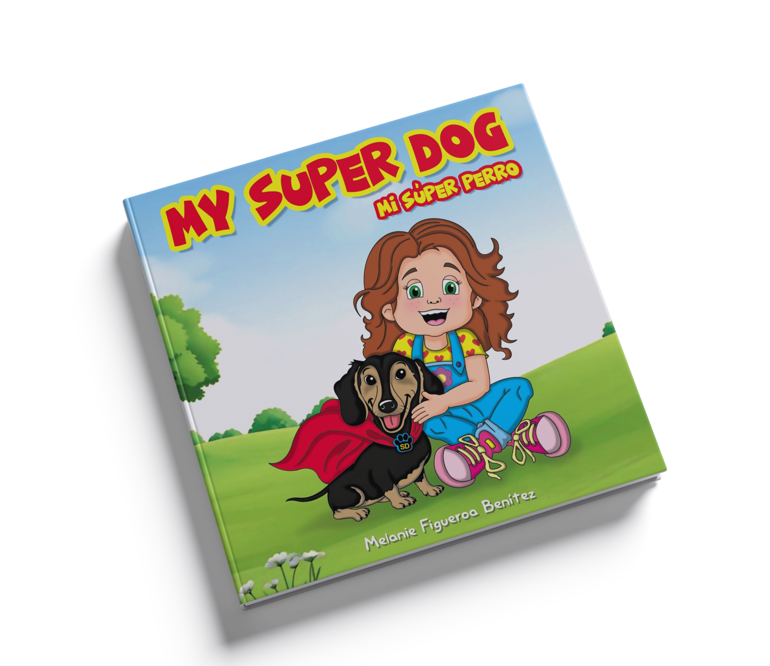 Local author to host bilingual children’s book launch in Milford | News ...