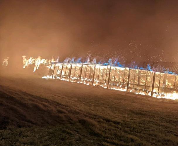 Young birds dead after big Bridgeville chicken house fire | News ...