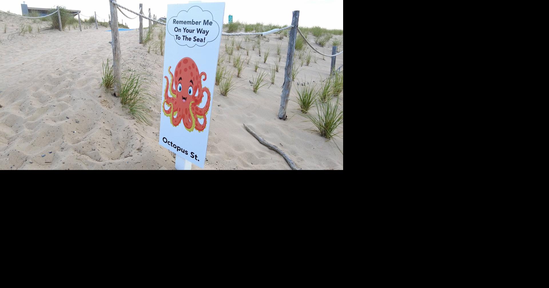 Fenwick Island adds child friendly street signs to incorporated beaches ...