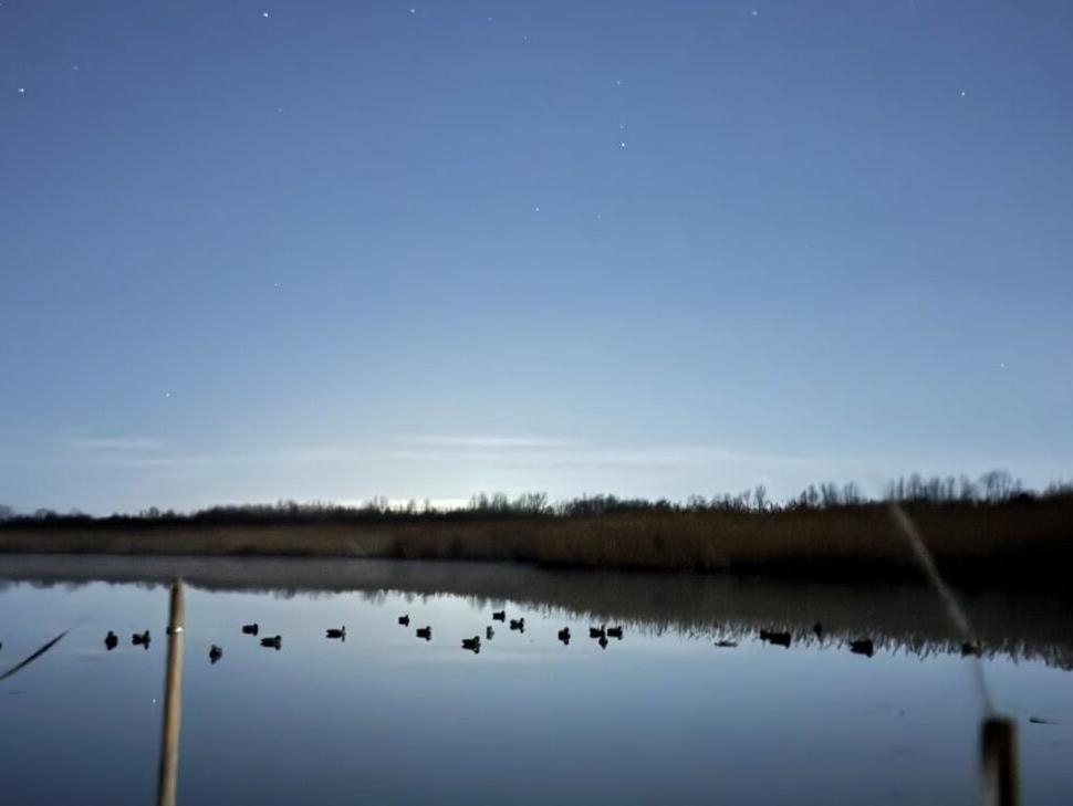 Delaware hunting seasons opens in September | News | coasttv.com