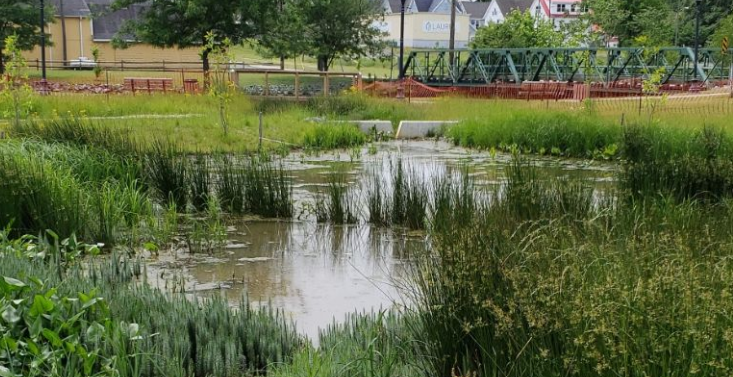 DNREC opens grant applications for surface water planning projects ...