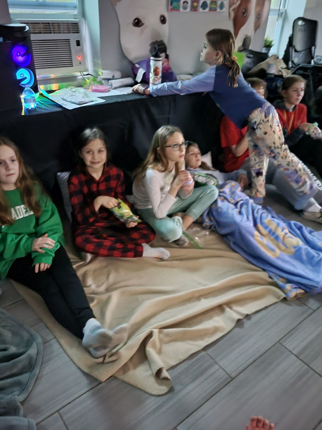 Valentine's parent night out at BVSPCA with adoptable pets | News | coasttv.com